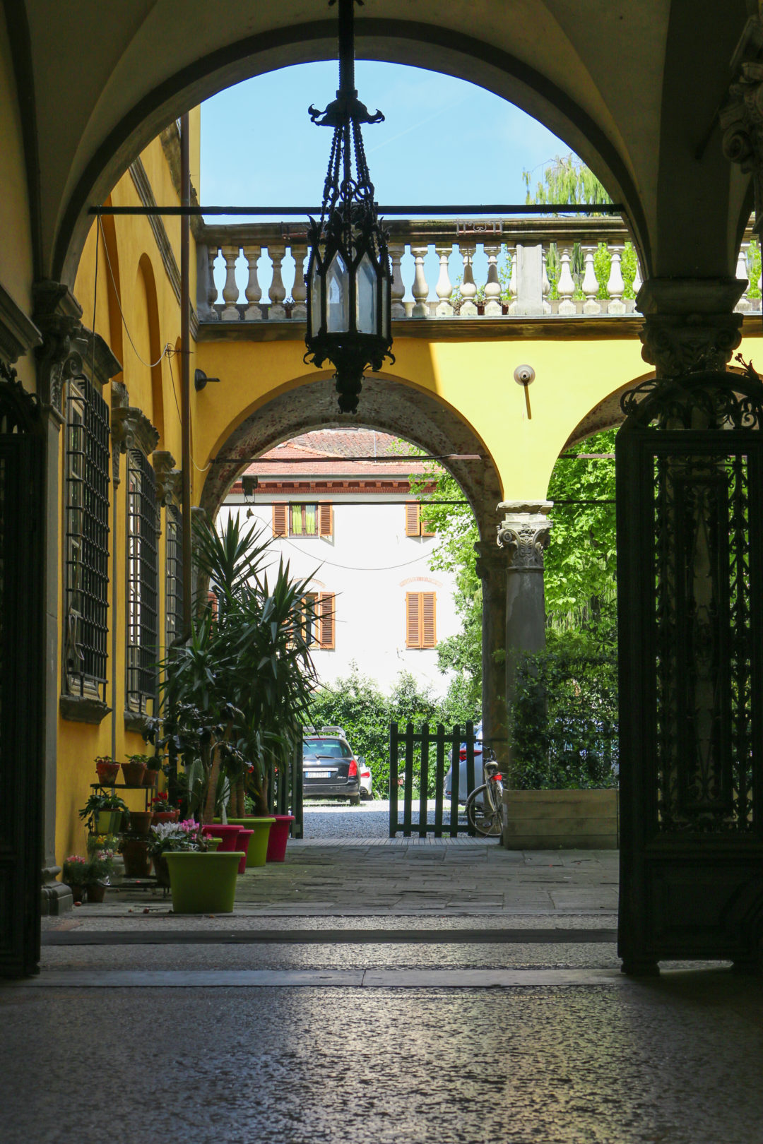 Autour de Florence : Lucques et Pise ( Toscane) - Rose Citron