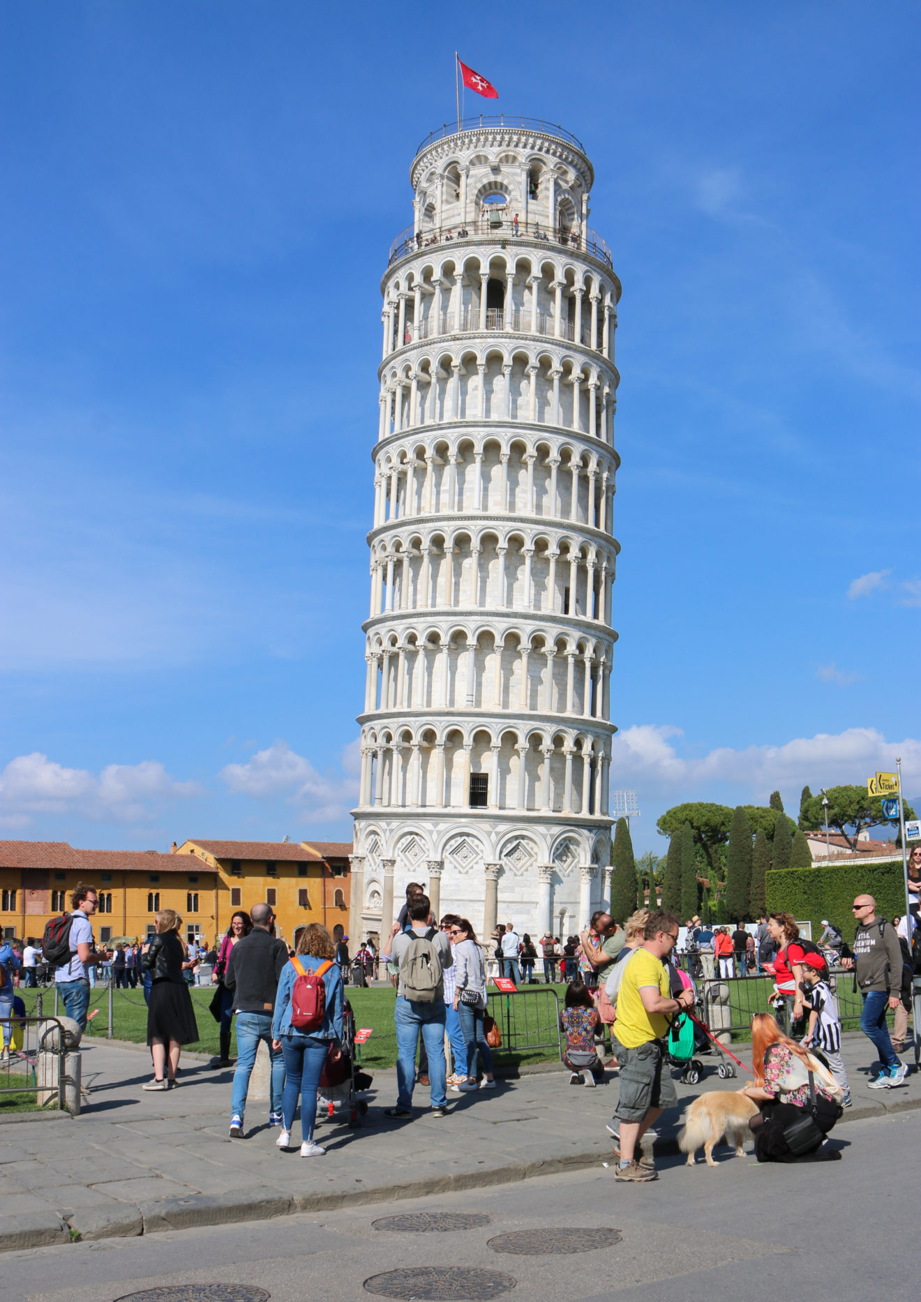 Autour de Florence : Lucques et Pise ( Toscane) - Rose Citron